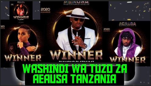 Diamond, Rayvanny Nandy na DJ Sinyorita wang’ara tuzo za AEAUSA ...