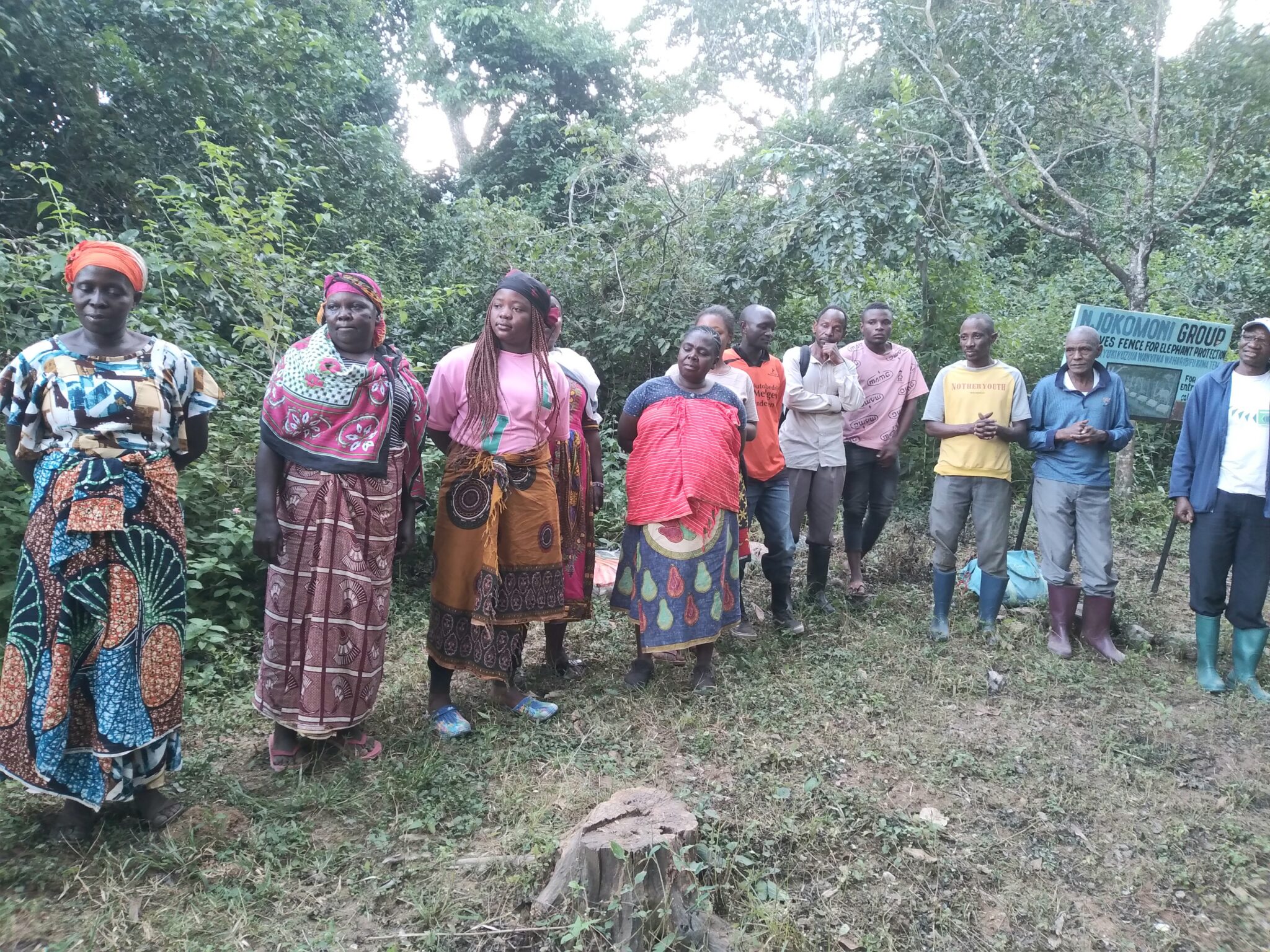 Uzio wa mizinga ya nyuki unavyozuia Tembo kuvamia mashamba vijijini ...