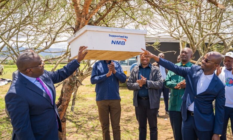 NMB yagawa Mizinga 500 ya Nyuki kwa vikundi 17 – Bongo5.com