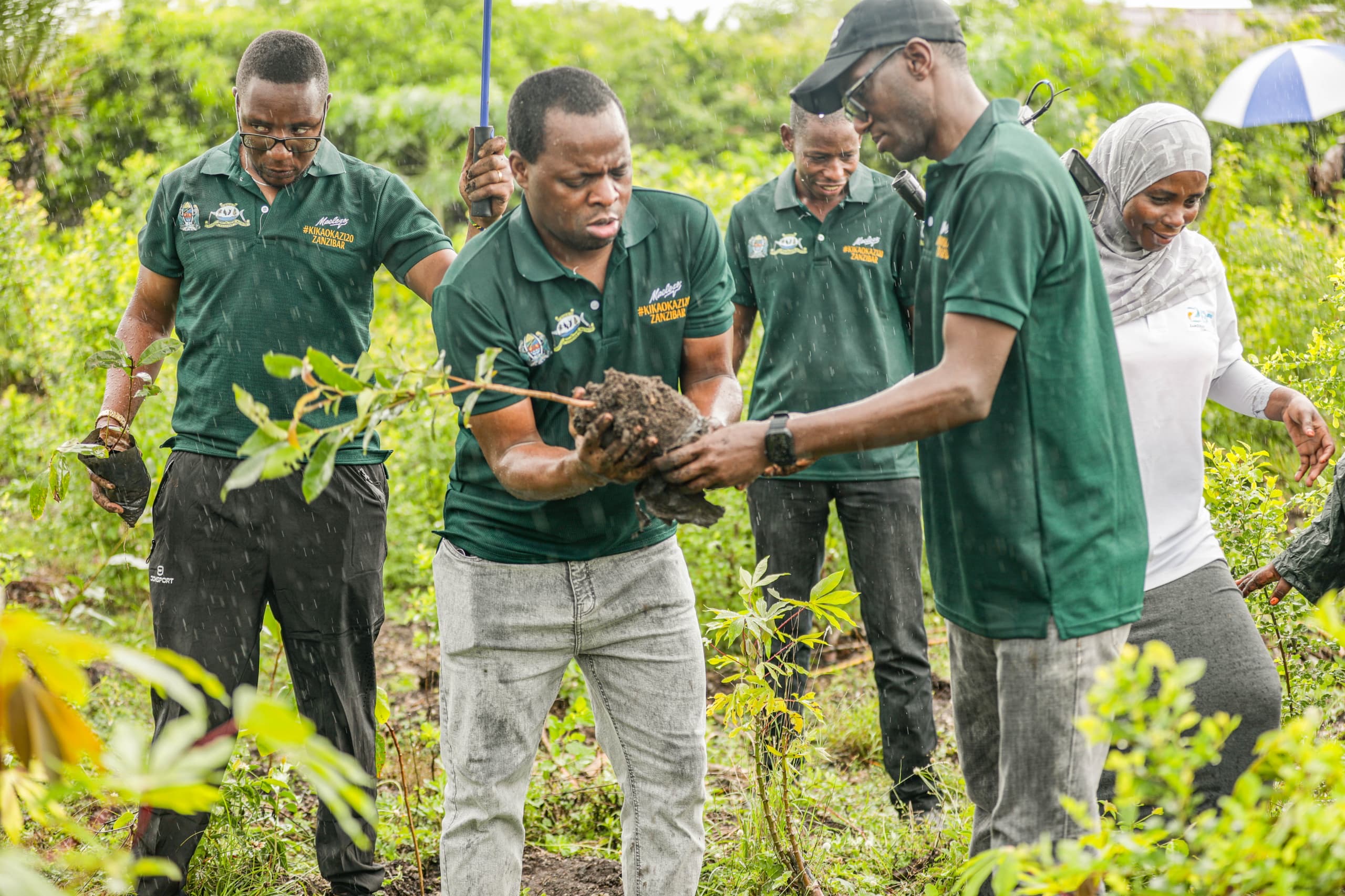 Msigwa awataka Wakuu wa Mikoa kuandaa maeneo ya upandaji miti – Bongo5.com